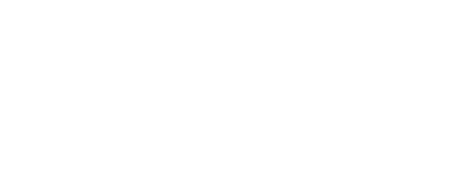 Devzz Tech Solutions